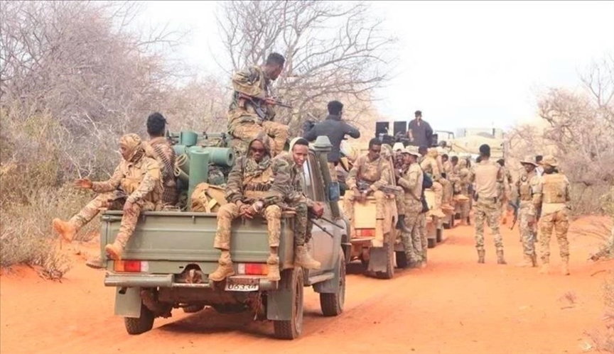 Somalie : un membre important du groupe terroriste "Shebab" éliminé ...